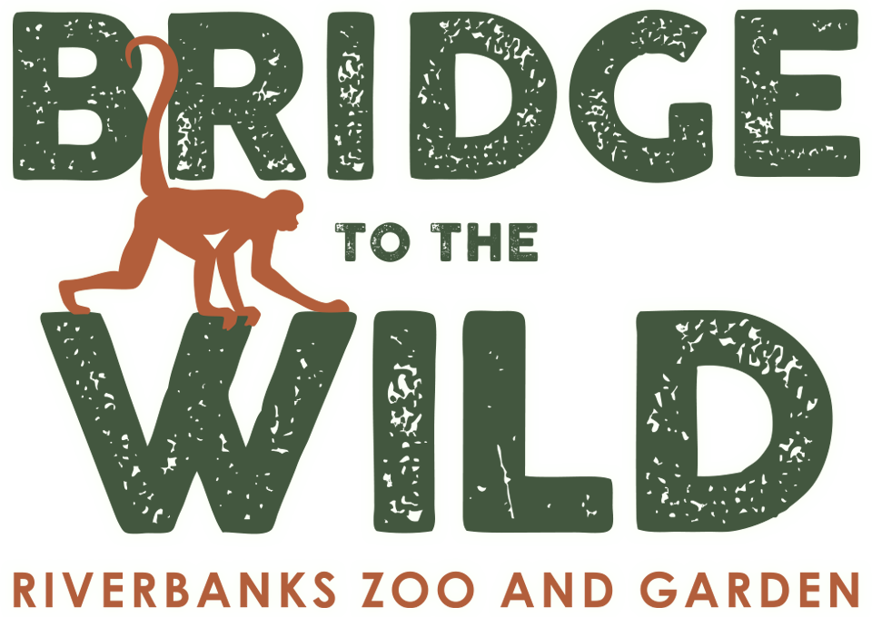 Bridge to the Wild :: Riverbanks Zoo & Garden