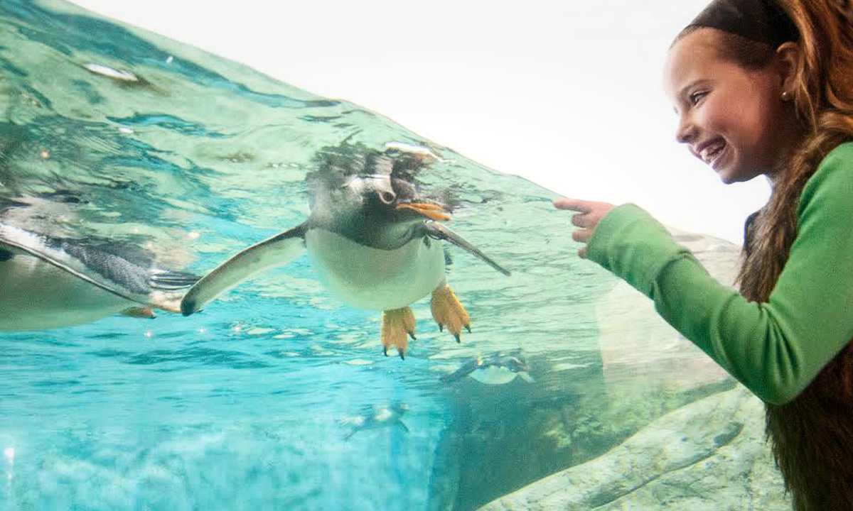 Riverbanks Backstage :: Riverbanks Zoo & Garden