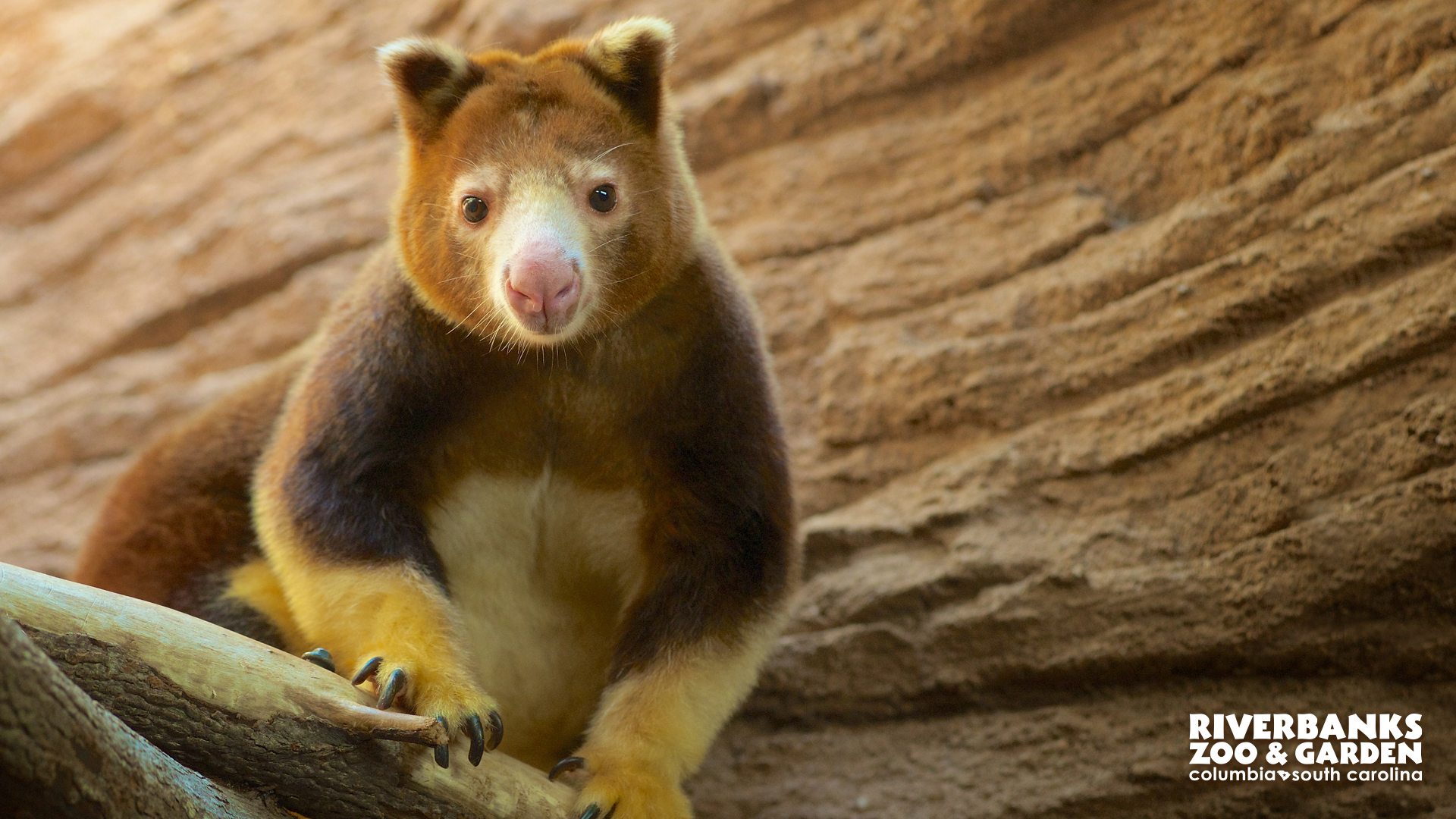 Riverbanks Zoo & Garden :: Columbia, South Carolina